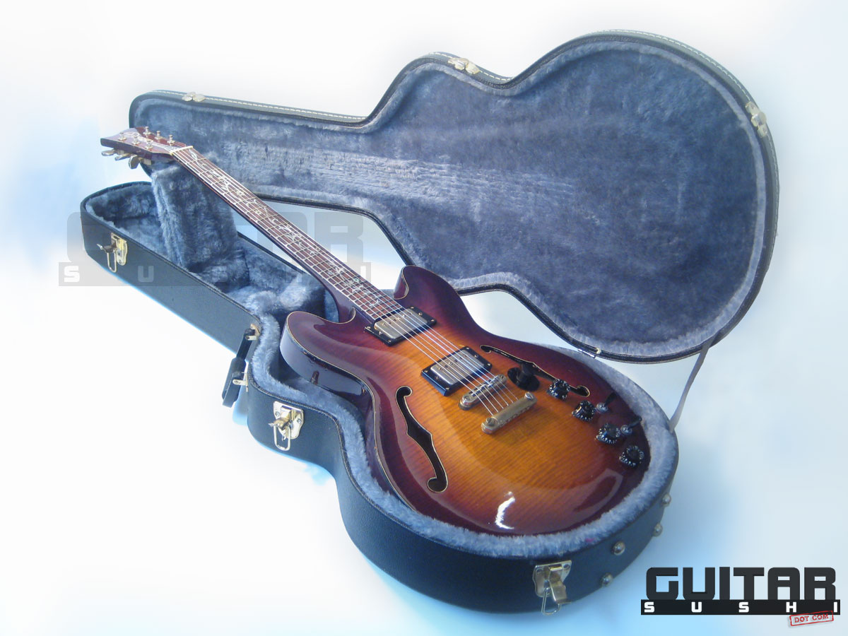 Vintage 1978 Electra MPC X-810 Semi-Acoustic Hollowbody Antique Brown ...